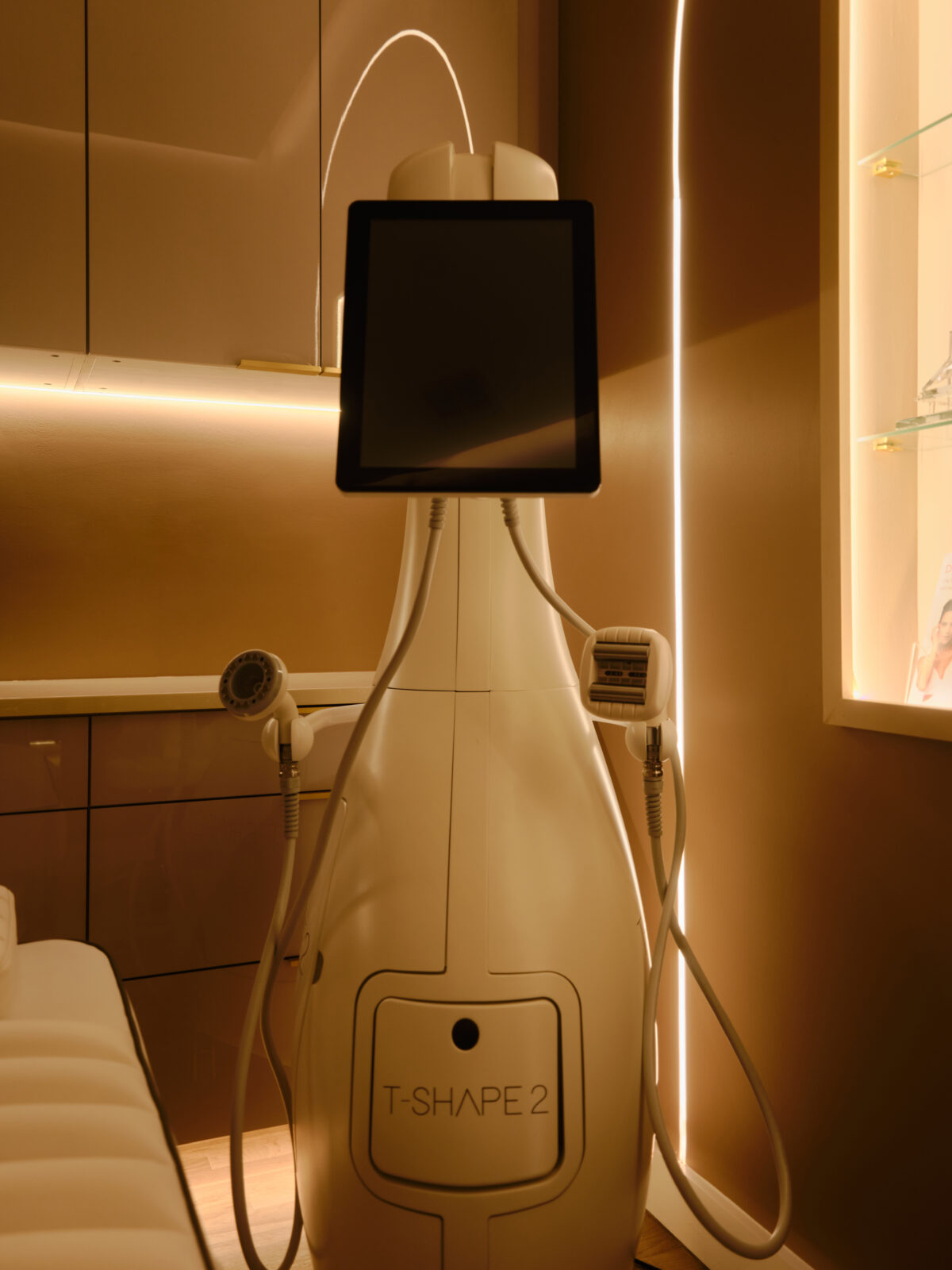 T-SHAPE 2: The Future of Face or Body Sculpting - La Réserve