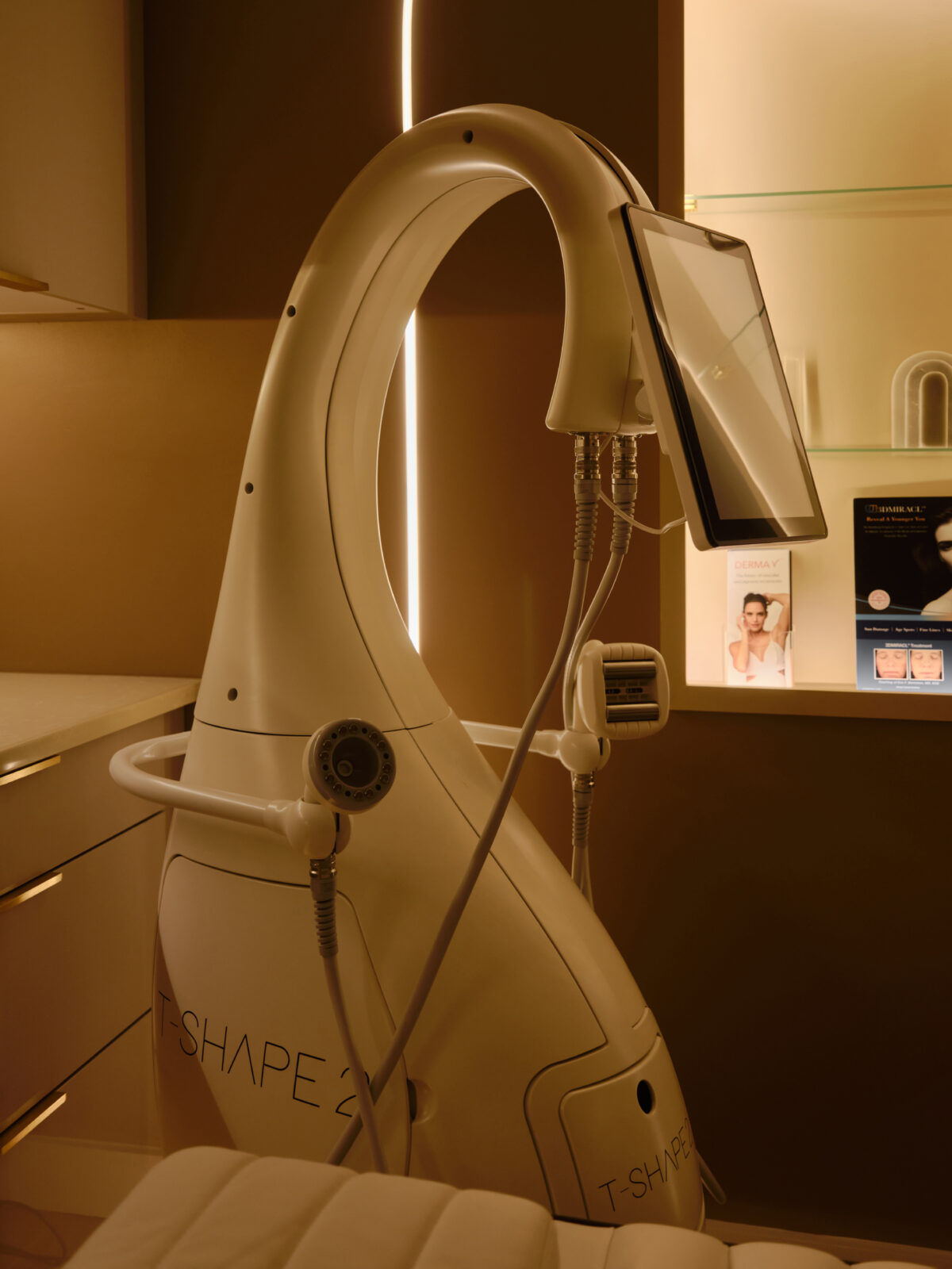 T-SHAPE 2: The Future of Face or Body Sculpting - La Réserve